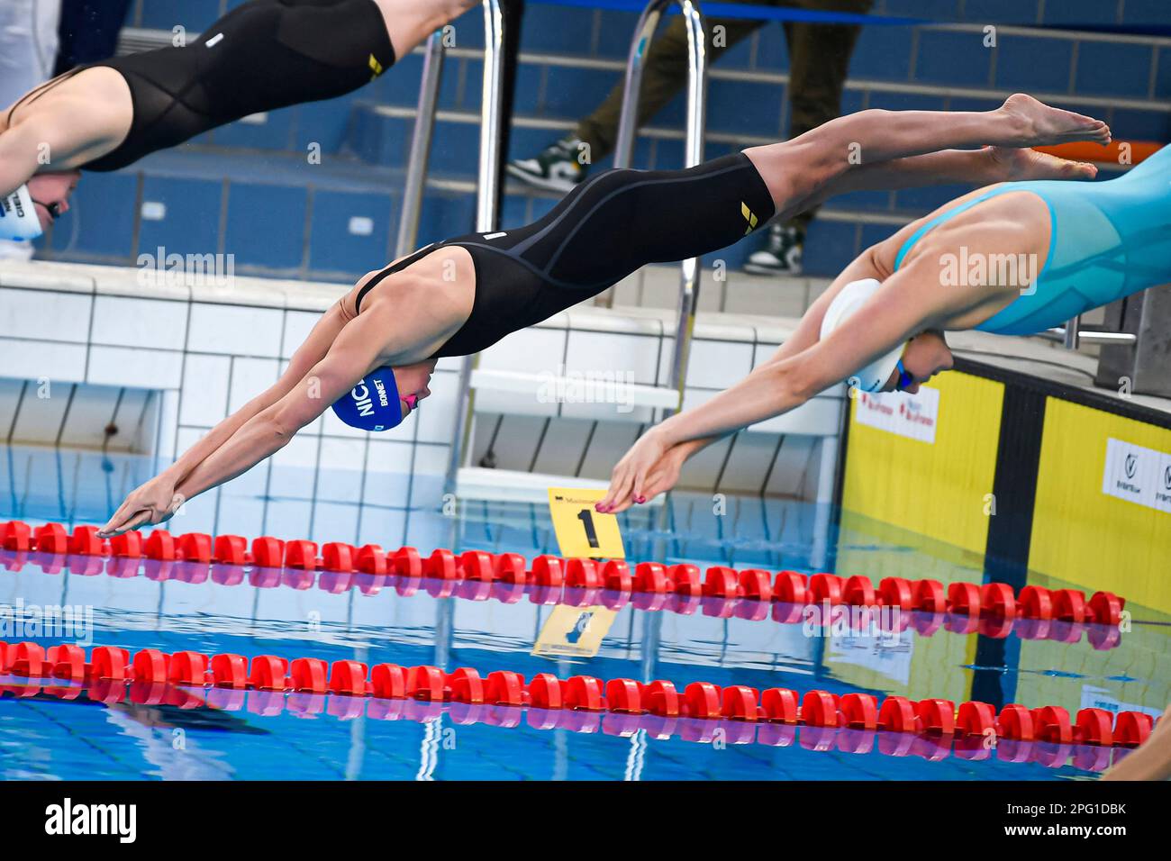 Charlotte Bonnet lors d'une nouvelle compétition de natation, l'Open géant sur 19 mars 2023, au ...
