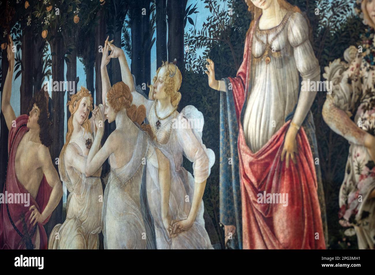 La Primavera, signifiant printemps, peinte par Sandro Botticelli à la galerie Uffizi de Florence ...