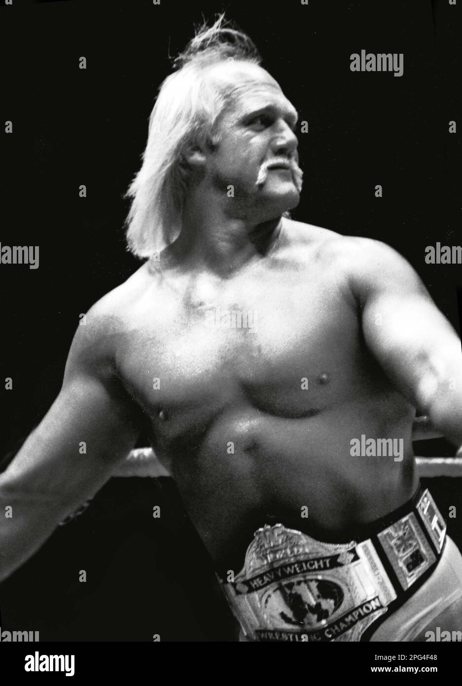 Hogan hulk Banque de photographies et d’images à haute résolution - Alamy