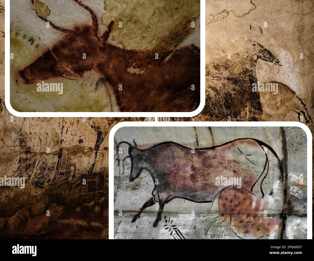 Les grottes de Lascaux sont des grottes décorées de peintures ...