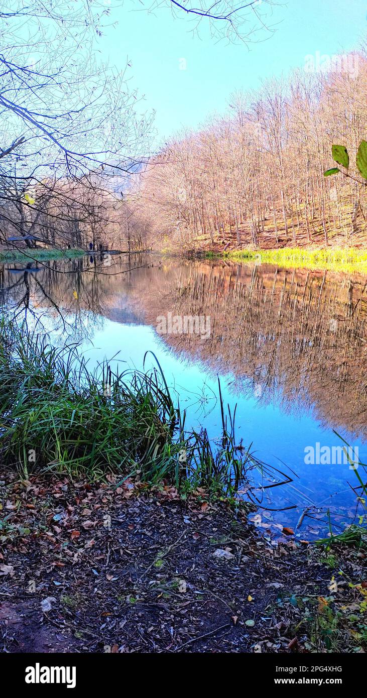 Un paysage pittoresque avec un plan d'eau tranquille entouré de ...