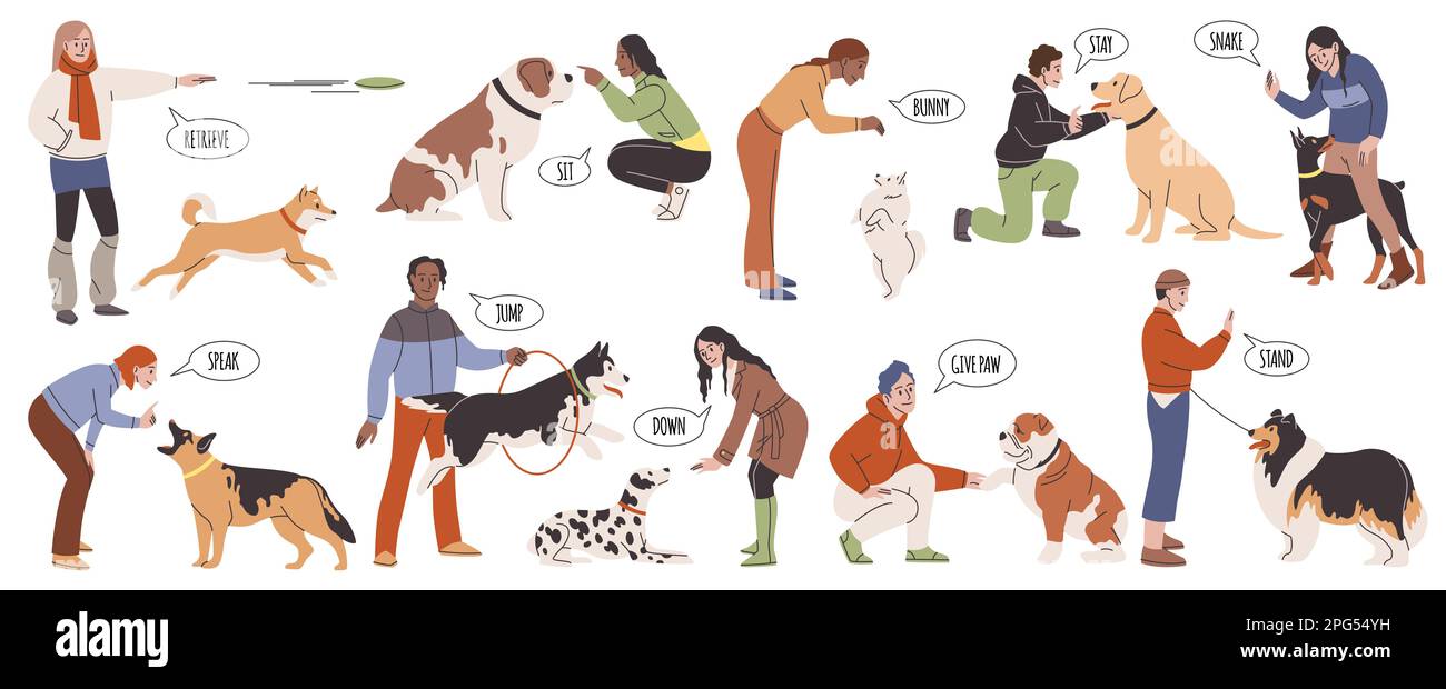 Dressage de chiens. Les animaux de compagnie obéissants de dessin animé ...