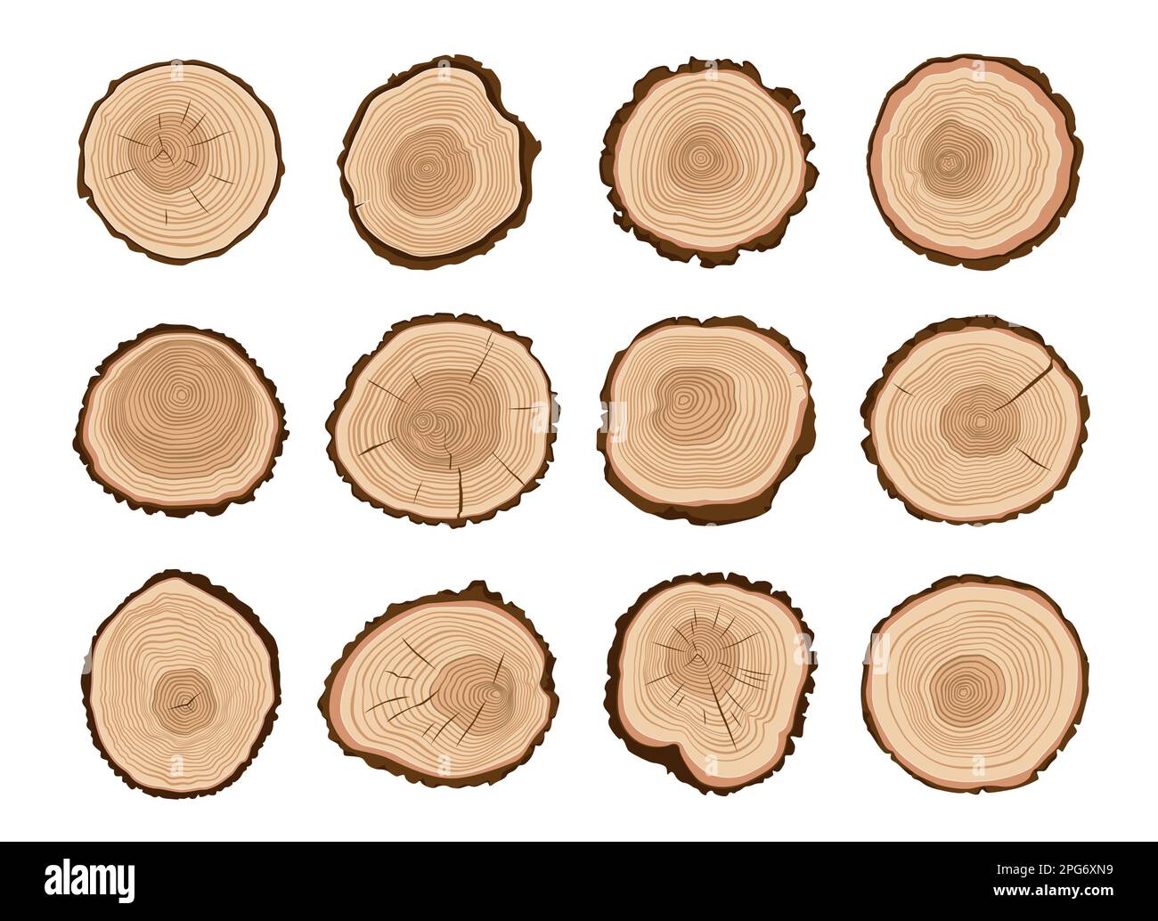Troncs d'arbre, coupe en bois. Arbre de la forêt de rame de bois de la ...
