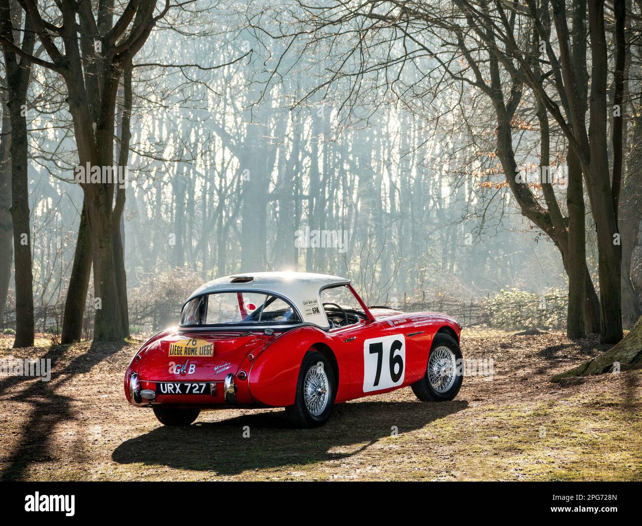 Pat moss ann la sagesse Banque de photographies et d’images à haute ...