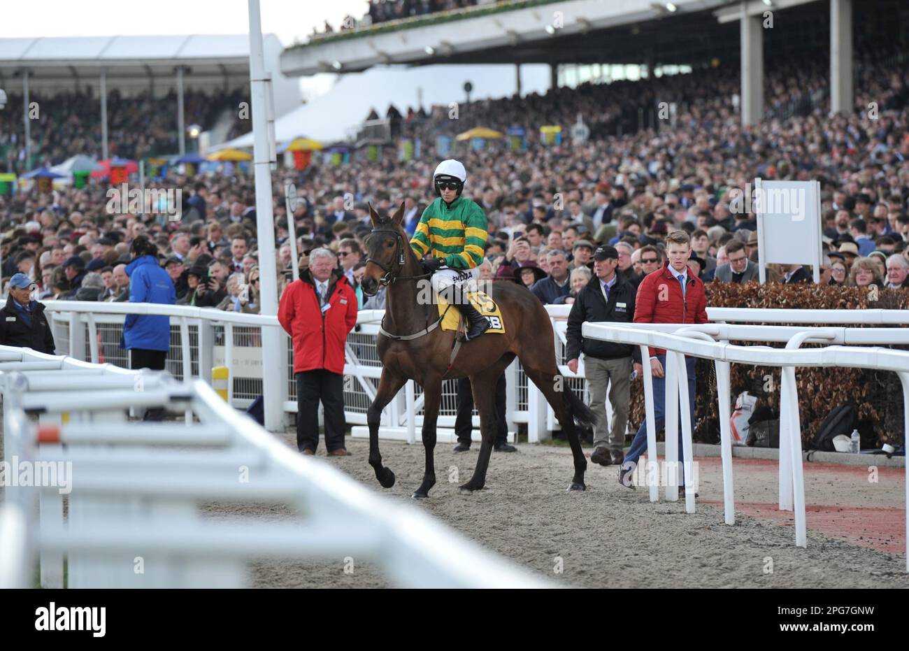Les chevaux qui se dirigent vers l'avant de la première course 1,30 l ...