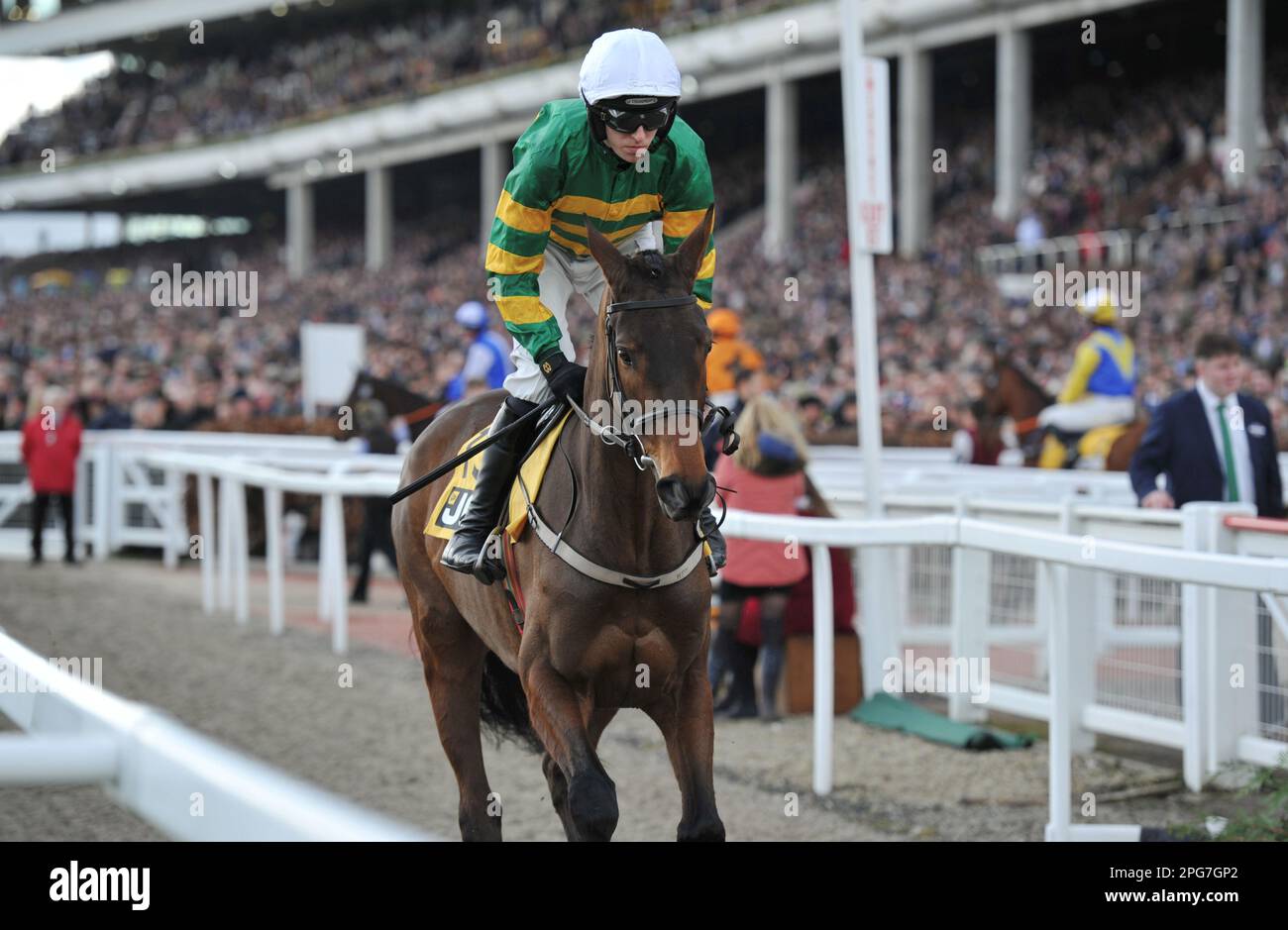 Les chevaux qui se dirigent vers l'avant de la première course 1,30 l ...