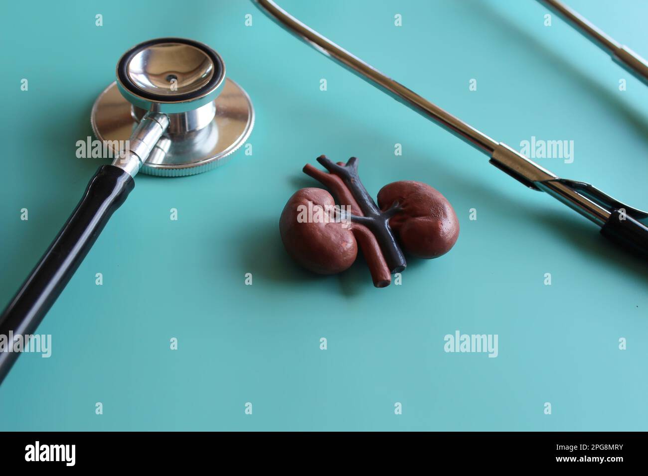 Gros plan du modèle de rein et du stéthoscope sur fond vert clair ...