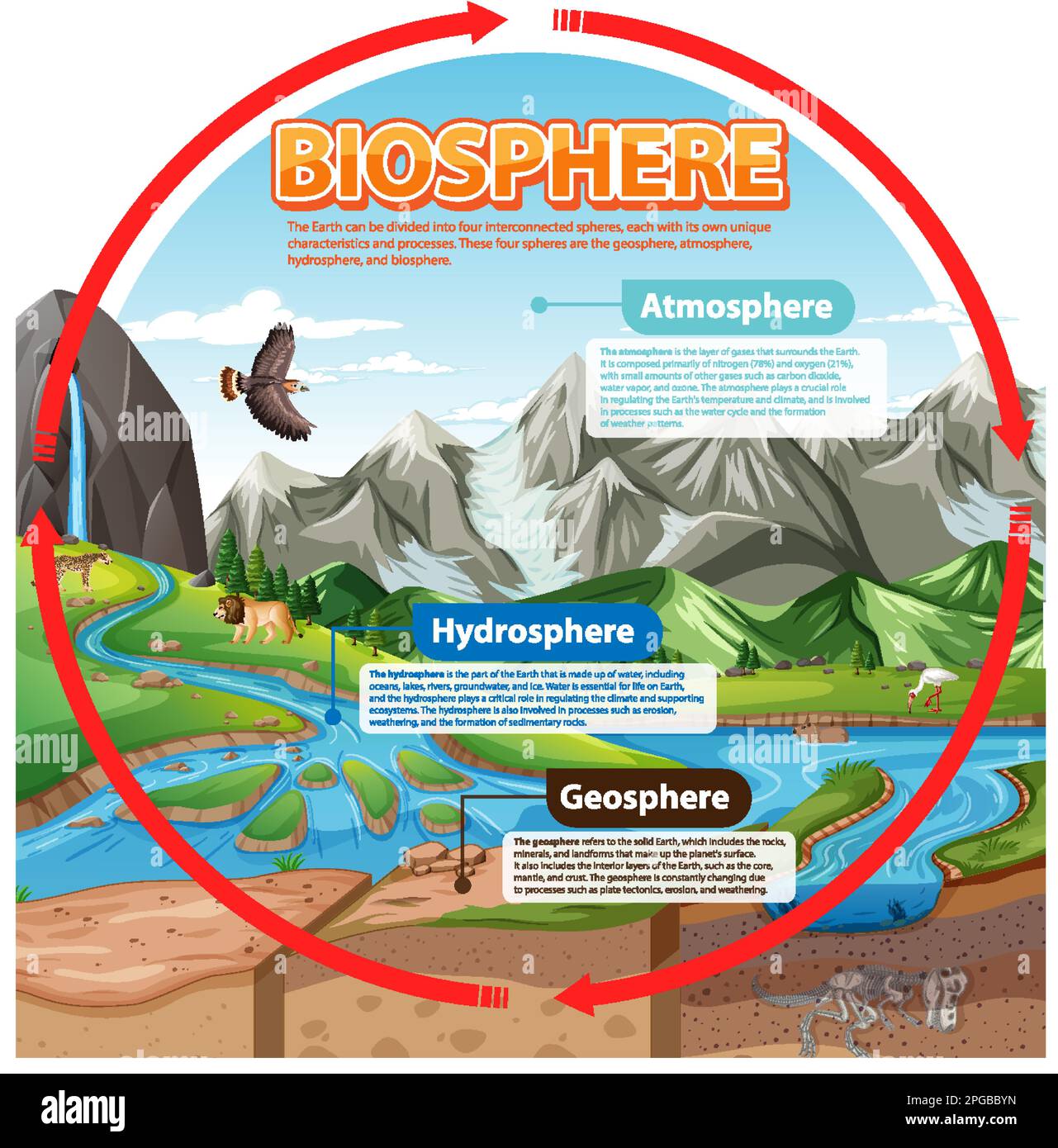 Biosphere ecosystem drawing Banque de photographies et d’images à haute ...