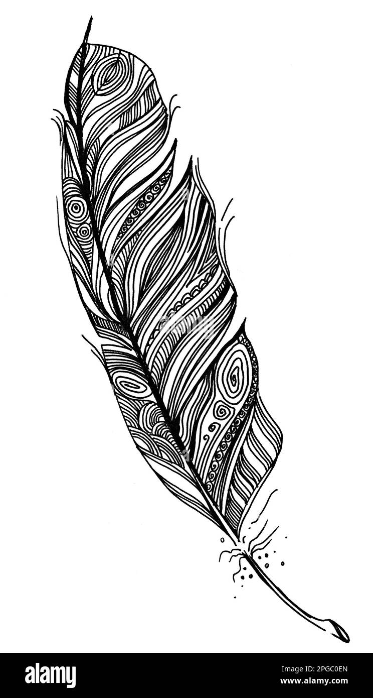 Plumes, croquis, dessin hans dessin dessin dessin dessin graphique ...