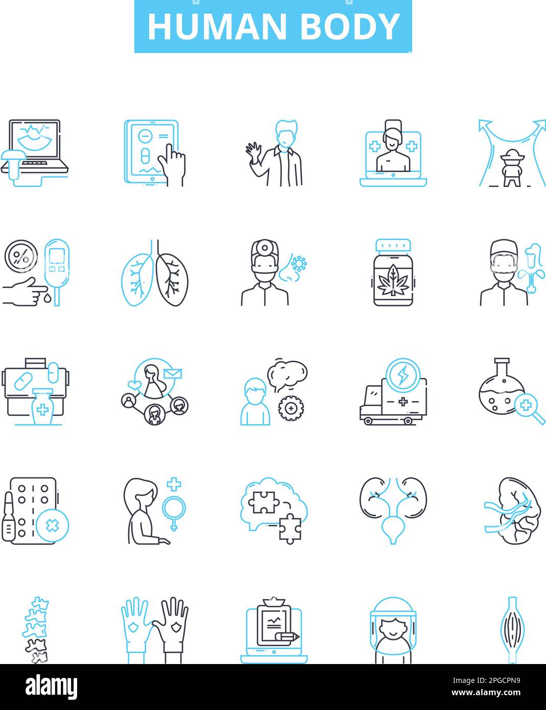 Jeu d'icônes de lignes vectorielles du corps humain. Anatomie ...