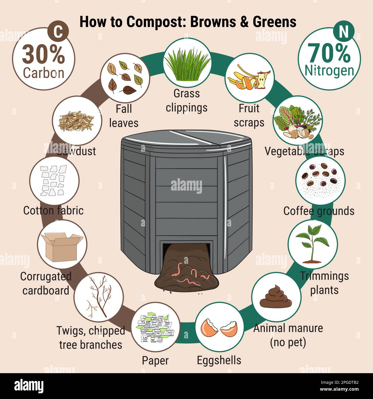 Infographie de bac de compostage de jardin avec des débris. Quoi faire ...