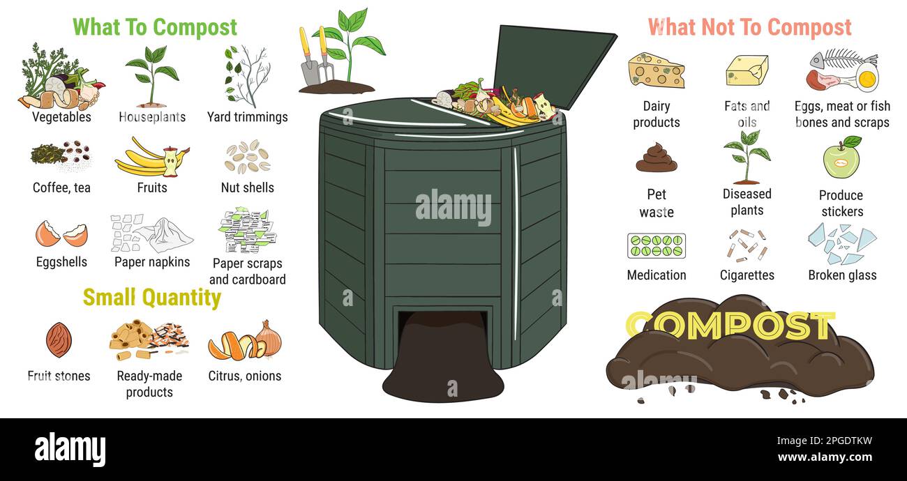 Infographie de bac de compostage de jardin avec des débris. Quoi à ...