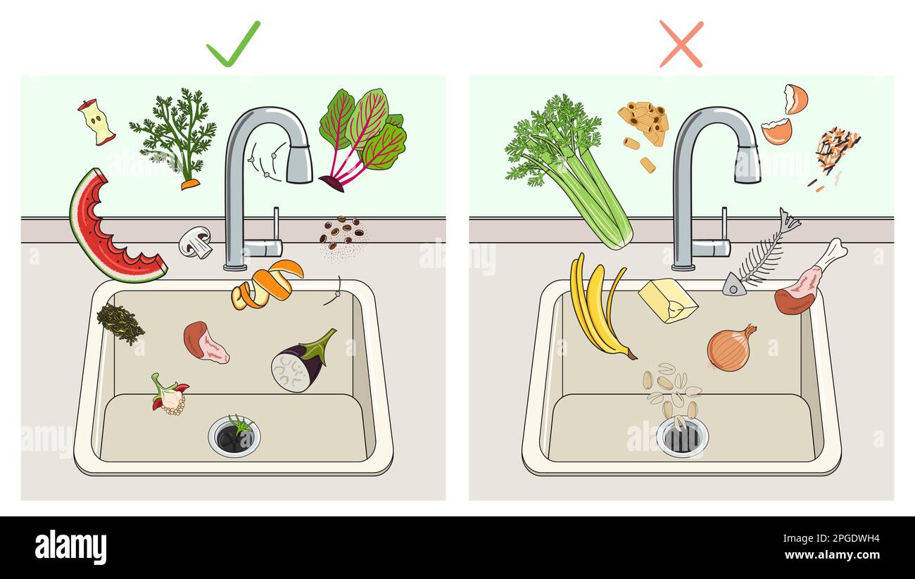 Infographie sur l'éliminateur de déchets alimentaires pour la cuisine à ...