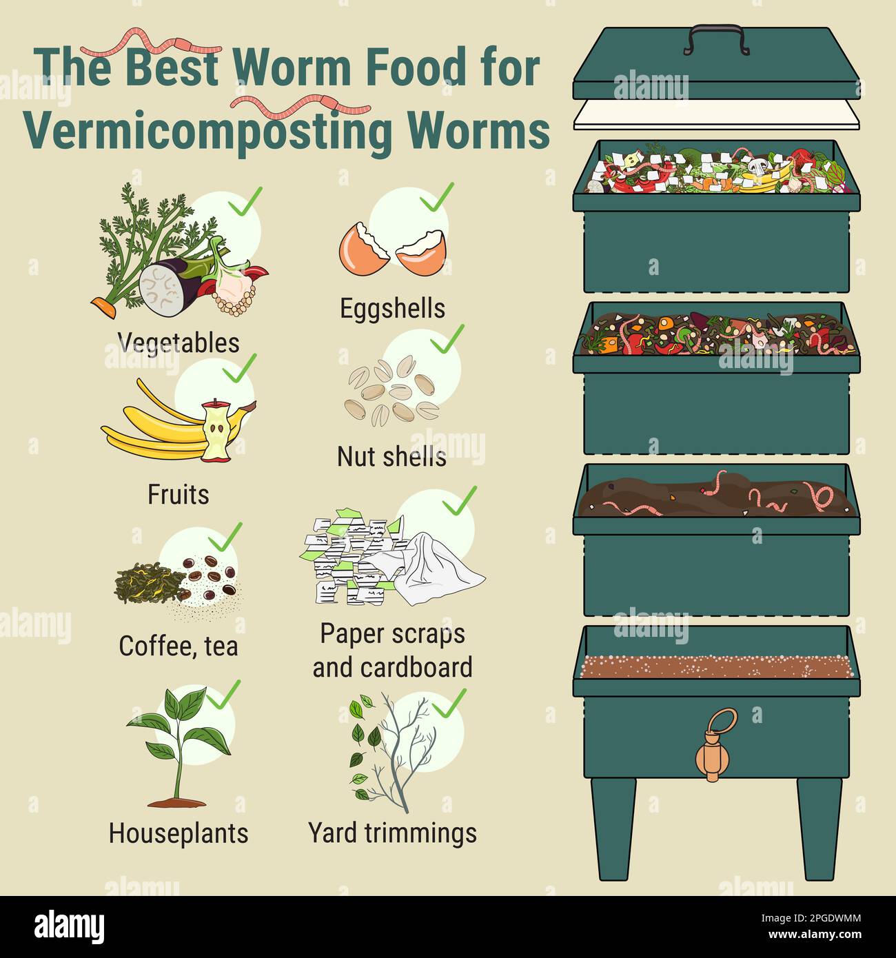 Infographie sur le vermicomposter. Quoi faire du compost. Compostage de vers. Recyclage des ...