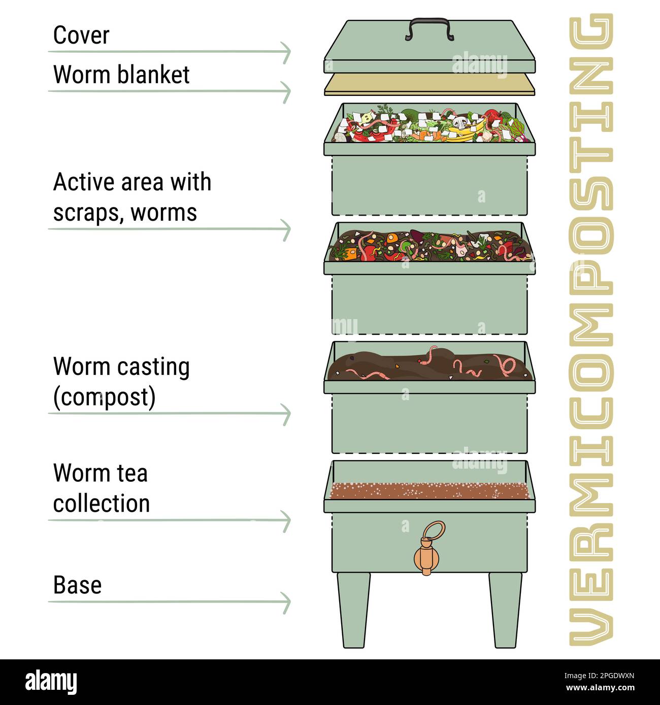 Infographie sur le vermicomposter. Composants de vermicomposter ...