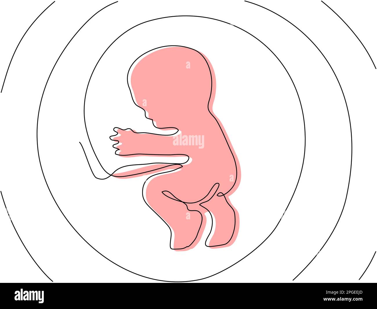 L'embryon en une ligne avec une silhouette colorée. Concept de ... L'embryon en une ligne avec une silhouette colorée. Concept de ...