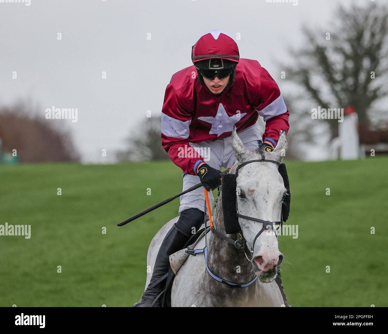 2023 vers le bas Royal Racecourse Lisburn Irlande du Nord. 17 mars 2023 ...