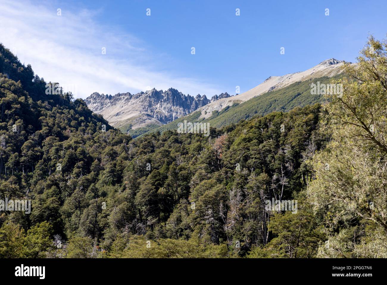 La route célèbre et idyllique des sept lacs de San Martin de los Andes ...