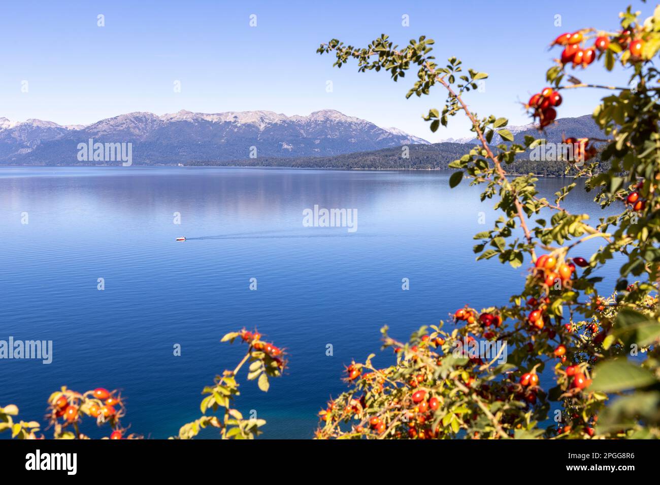 La route célèbre et idyllique des sept lacs de San Martin de los Andes ...