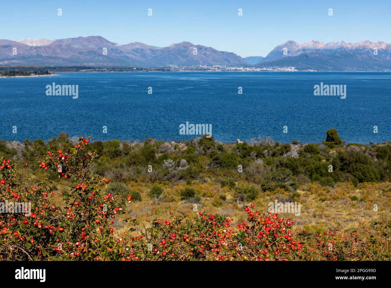 La route célèbre et idyllique des sept lacs de San Martin de los Andes ...