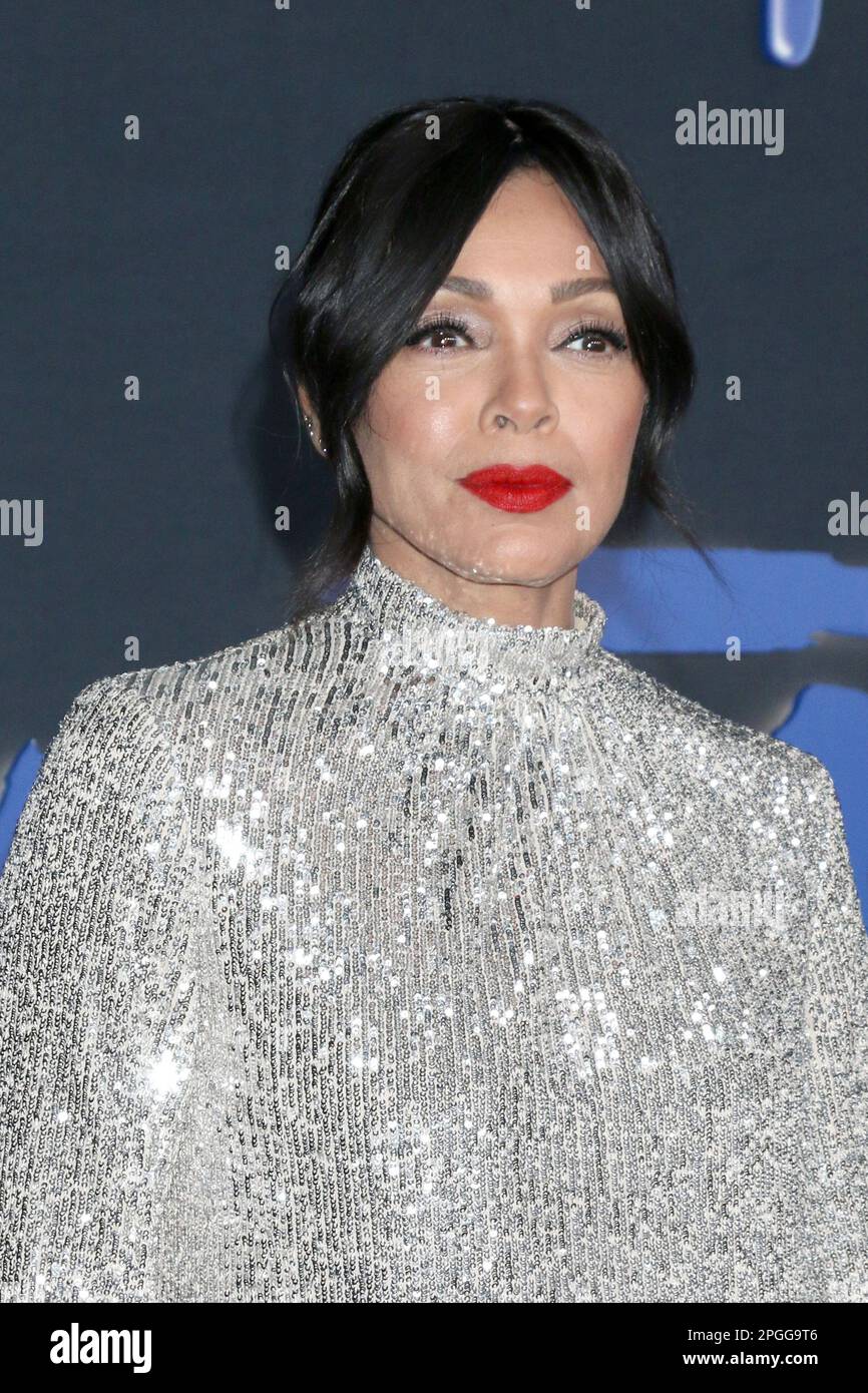 Ted mann Banque de photographies et d’images à haute résolution - Alamy