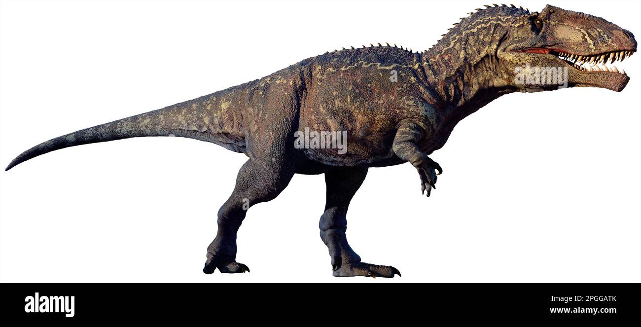 Giganotosaurus de l'illustration de l'époque crétacée 3D Photo Stock ...