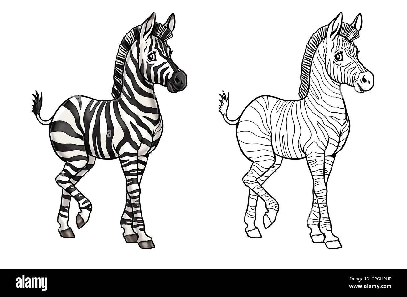 Zèbre mignon pour colorier. Modèle pour un livre de coloriage avec des ...