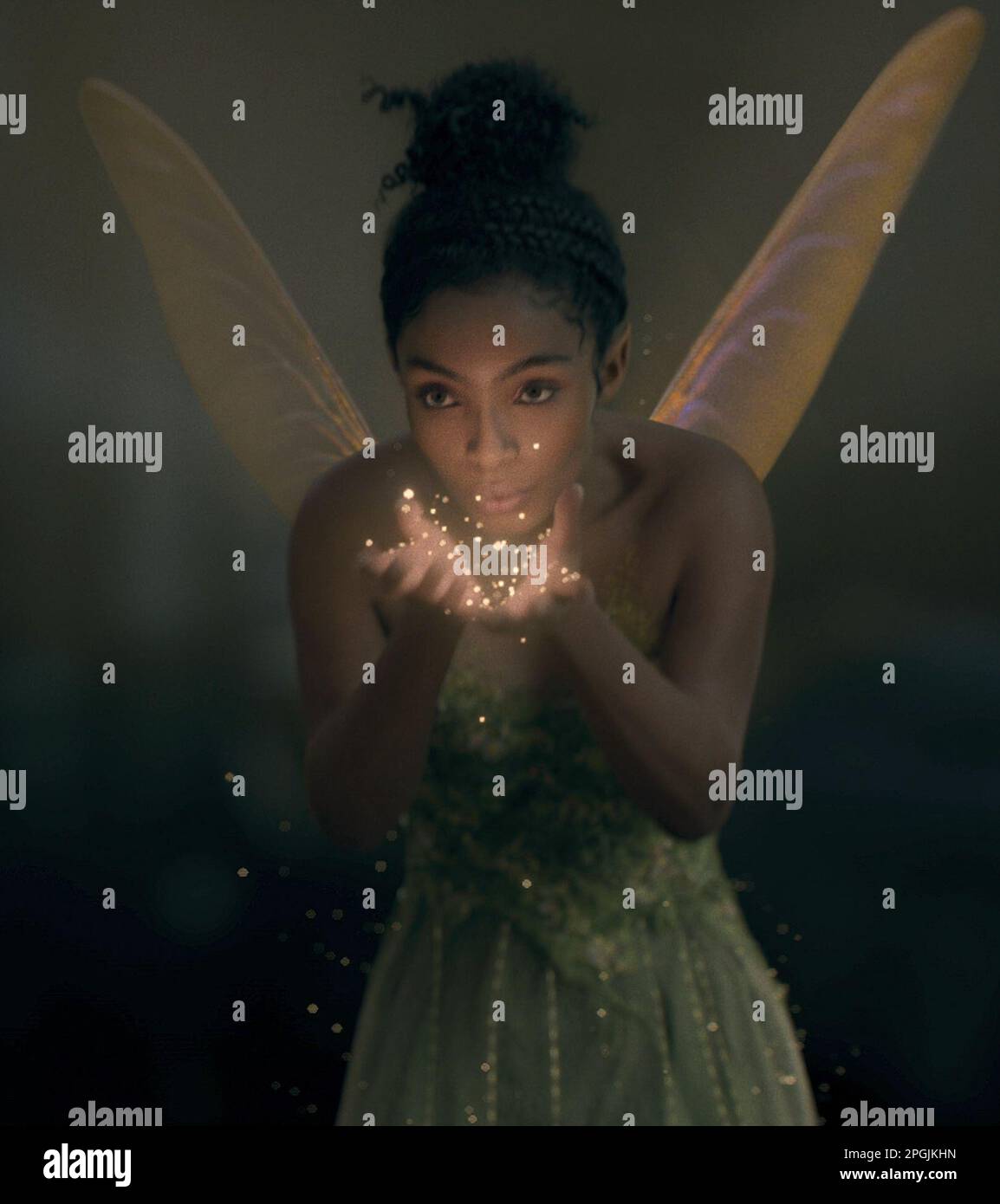 Tinkerbell disney Banque de photographies et d’images à haute résolution - Alamy