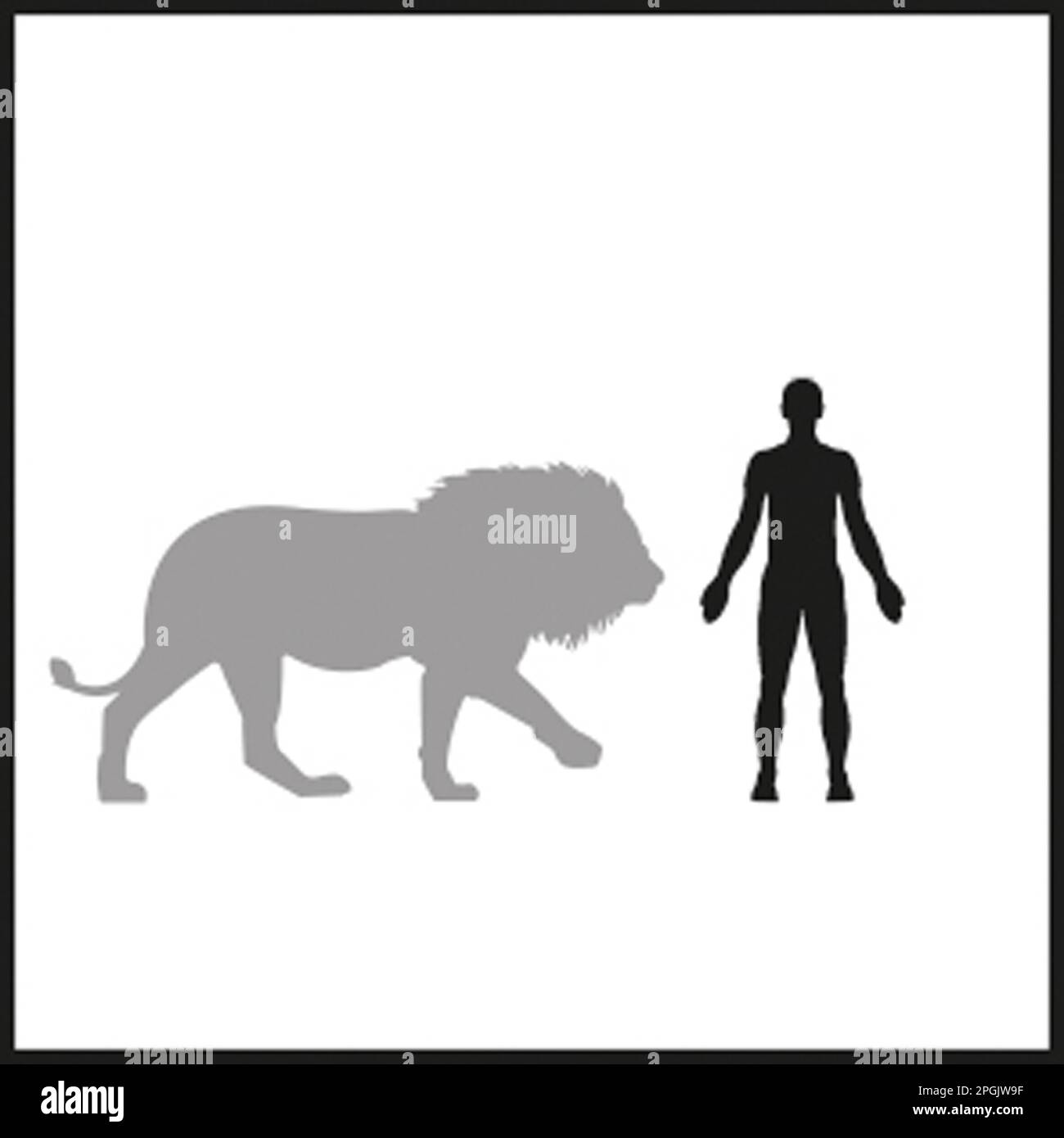 Height comparison Banque de photographies et d’images à haute ...