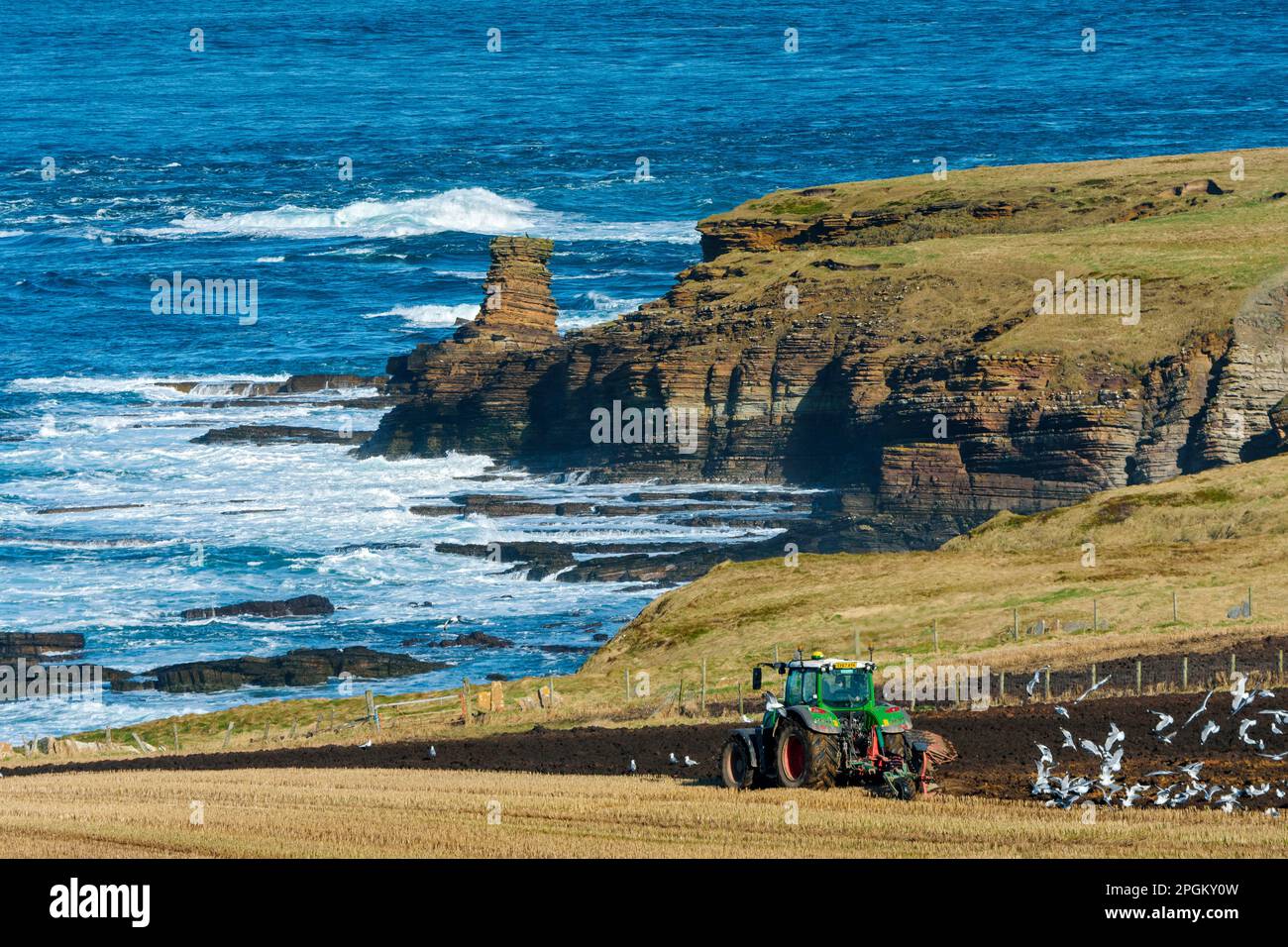 La colonne de la mer Tower o'Men o'Mey à St. John's point, Caithness ...