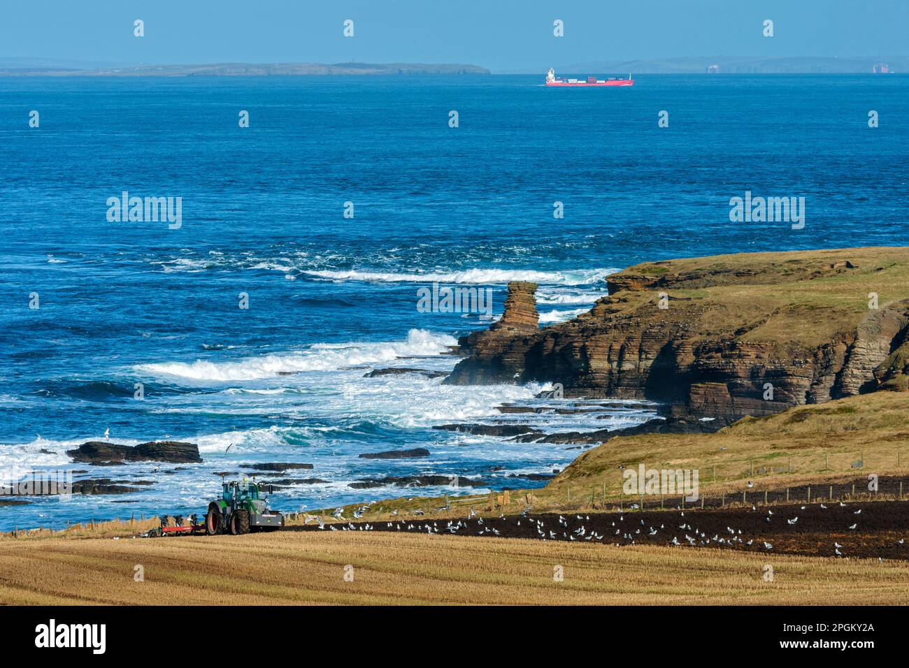 La colonne de la mer Tower o'Men o'Mey à St. John's point, Caithness ...