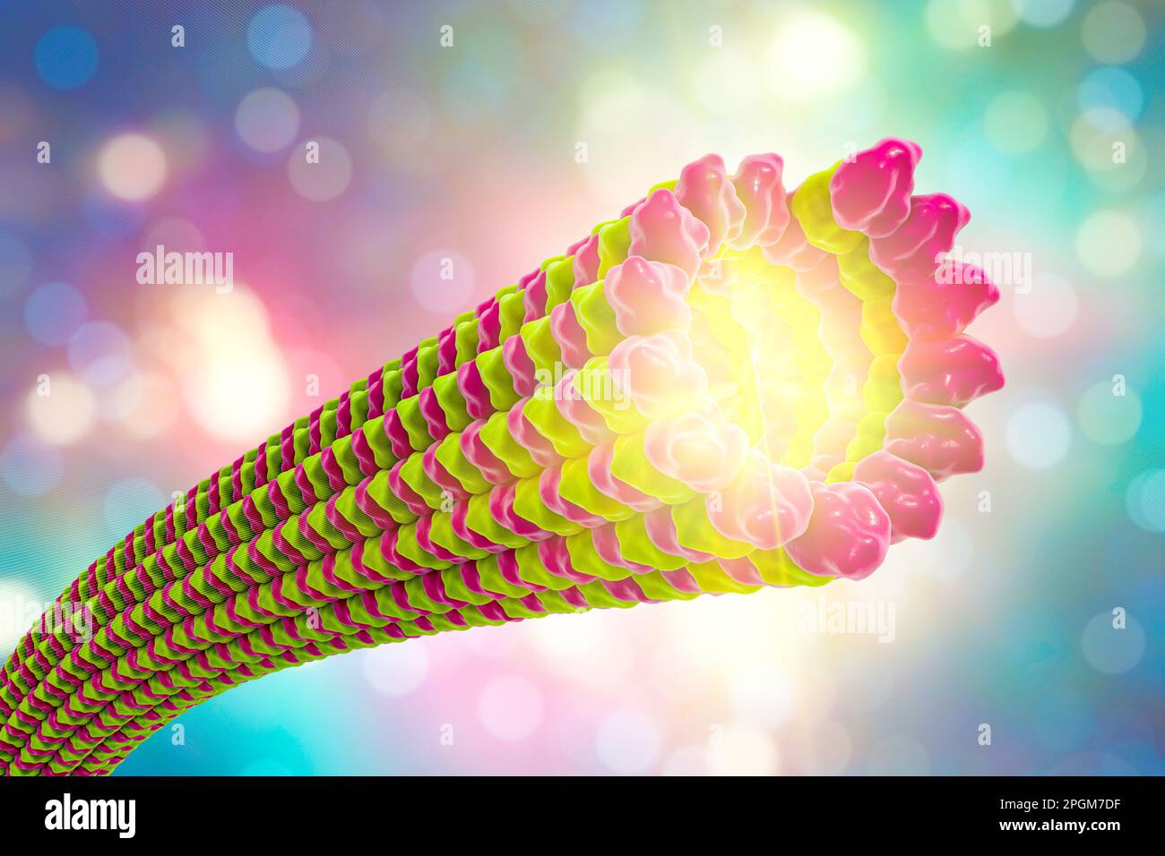 Les microtubules, 3D computer artwork. Les microtubules sont des ...