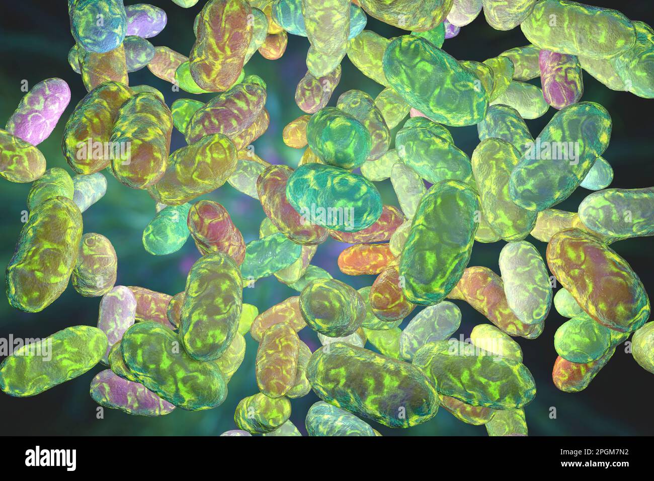 Microbiote buccal Banque de photographies et d’images à haute ...