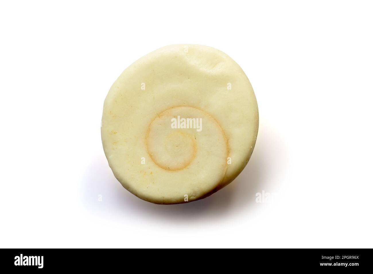 Rochia nilotica Banque de photographies et d’images à haute résolution ...