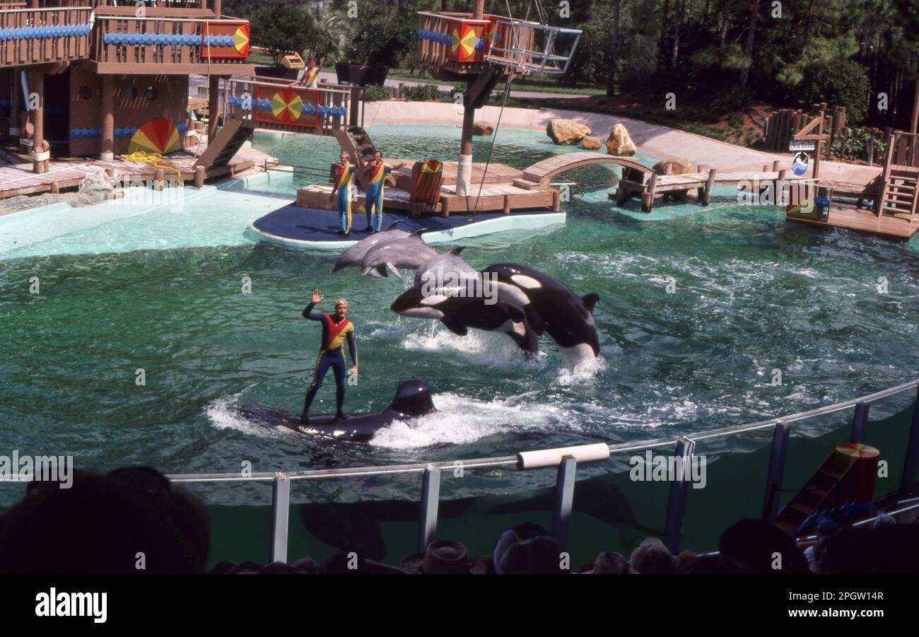 SeaWorld c'est Shamu Orca / Killer Whale Show avec les dauphins à ...