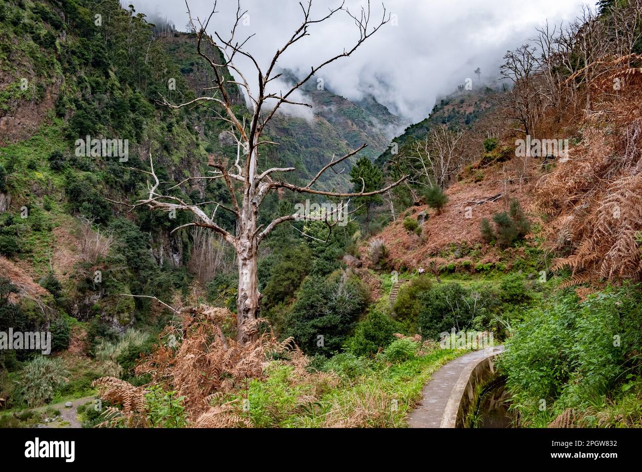 Cascade de levada nova Banque de photographies et d’images à haute ...