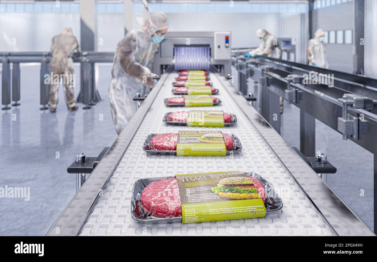 Onion factory line Banque de photographies et d’images à haute ...