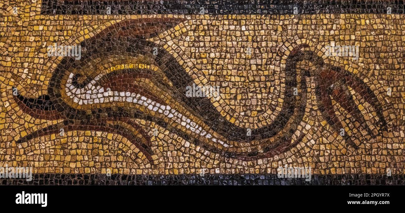 Mosaïque de poisson Banque de photographies et d’images à haute ...