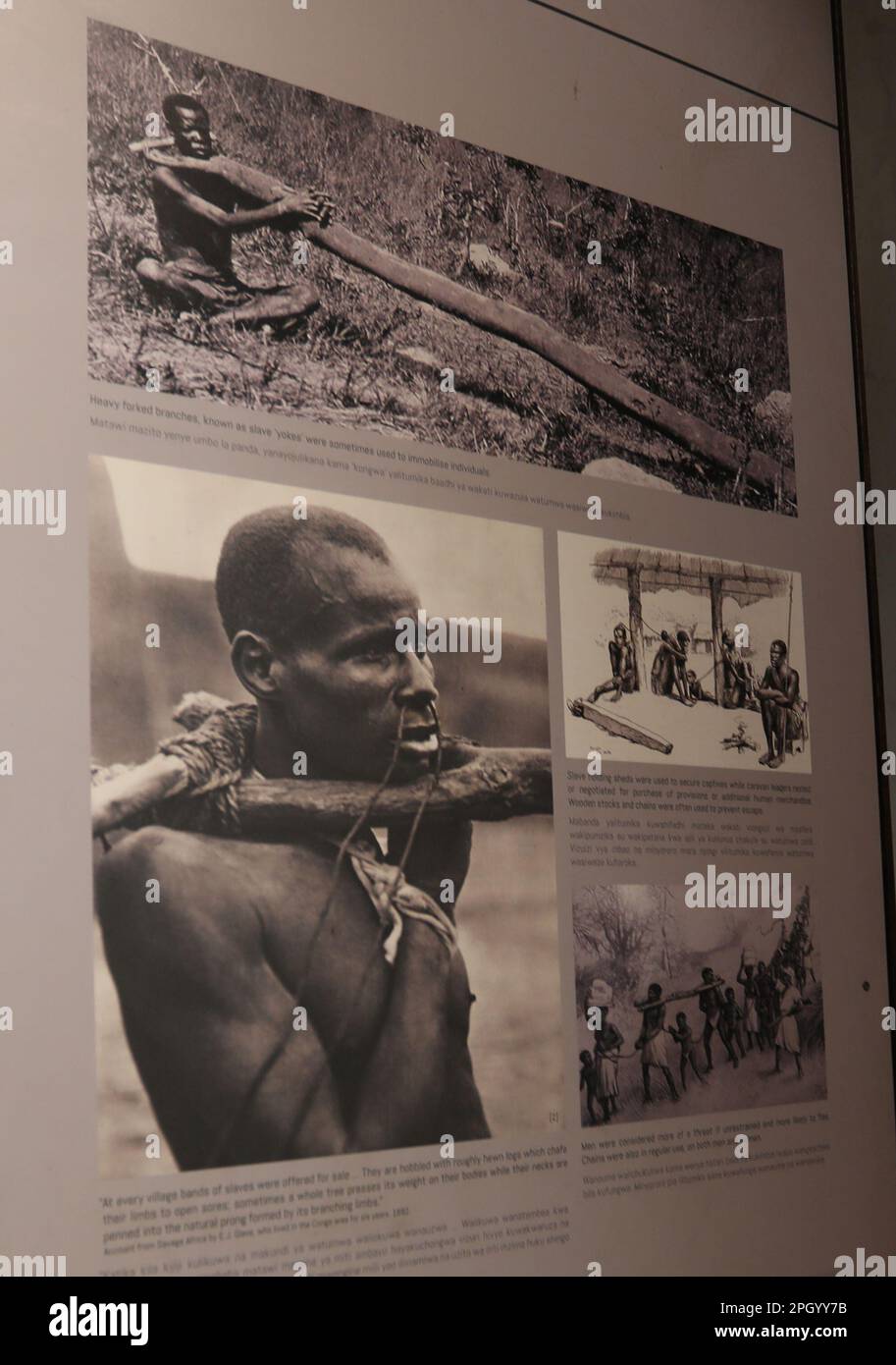 (230325) -- ZANZIBAR, 25 mars 2023 (Xinhua) -- des photos d'esclaves ...