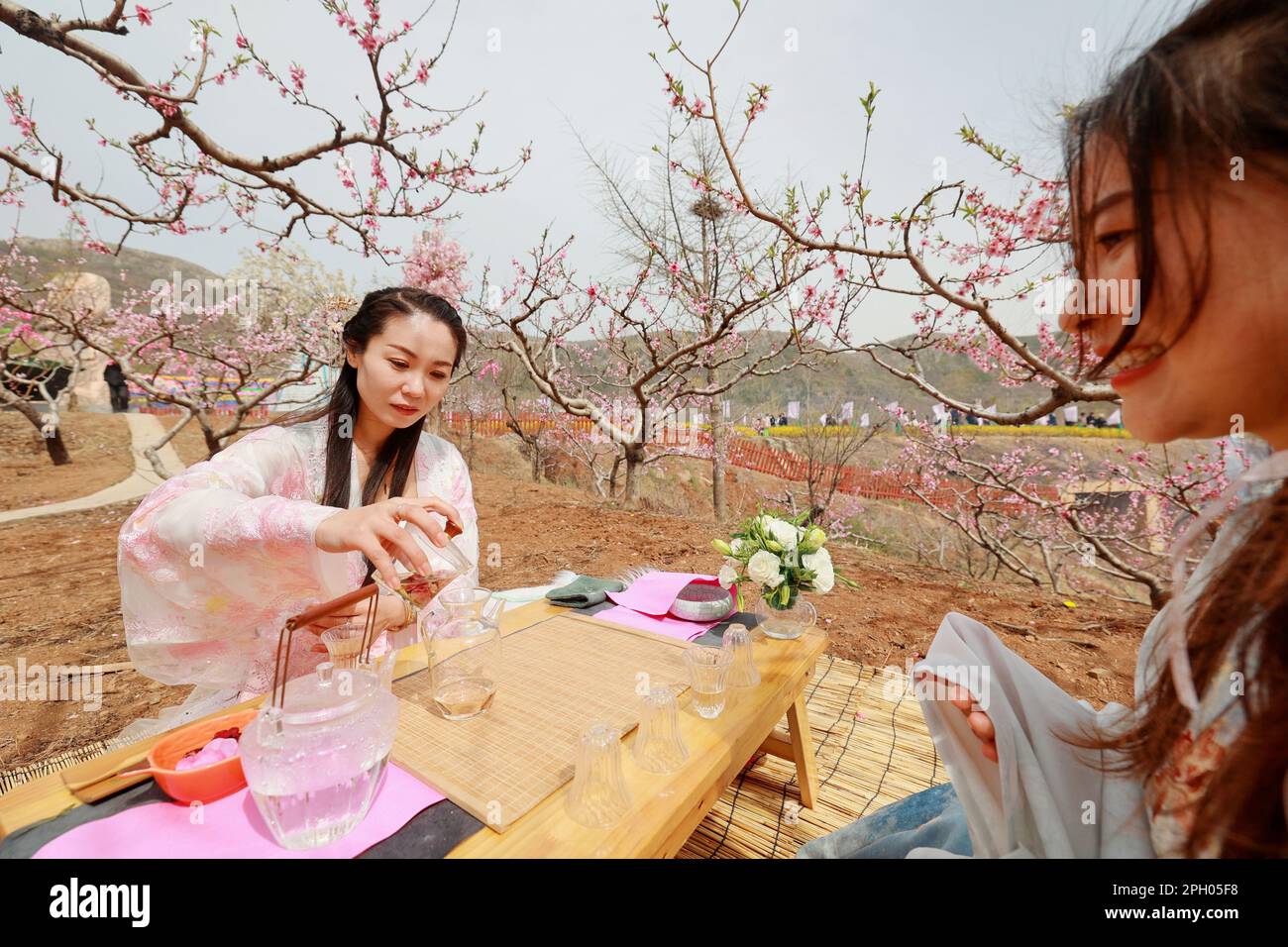 ZAOZHUANG, CHINE - 24 MARS 2023 - les amoureux de Hanfu boivent du thé sous les fleurs le jour d ...