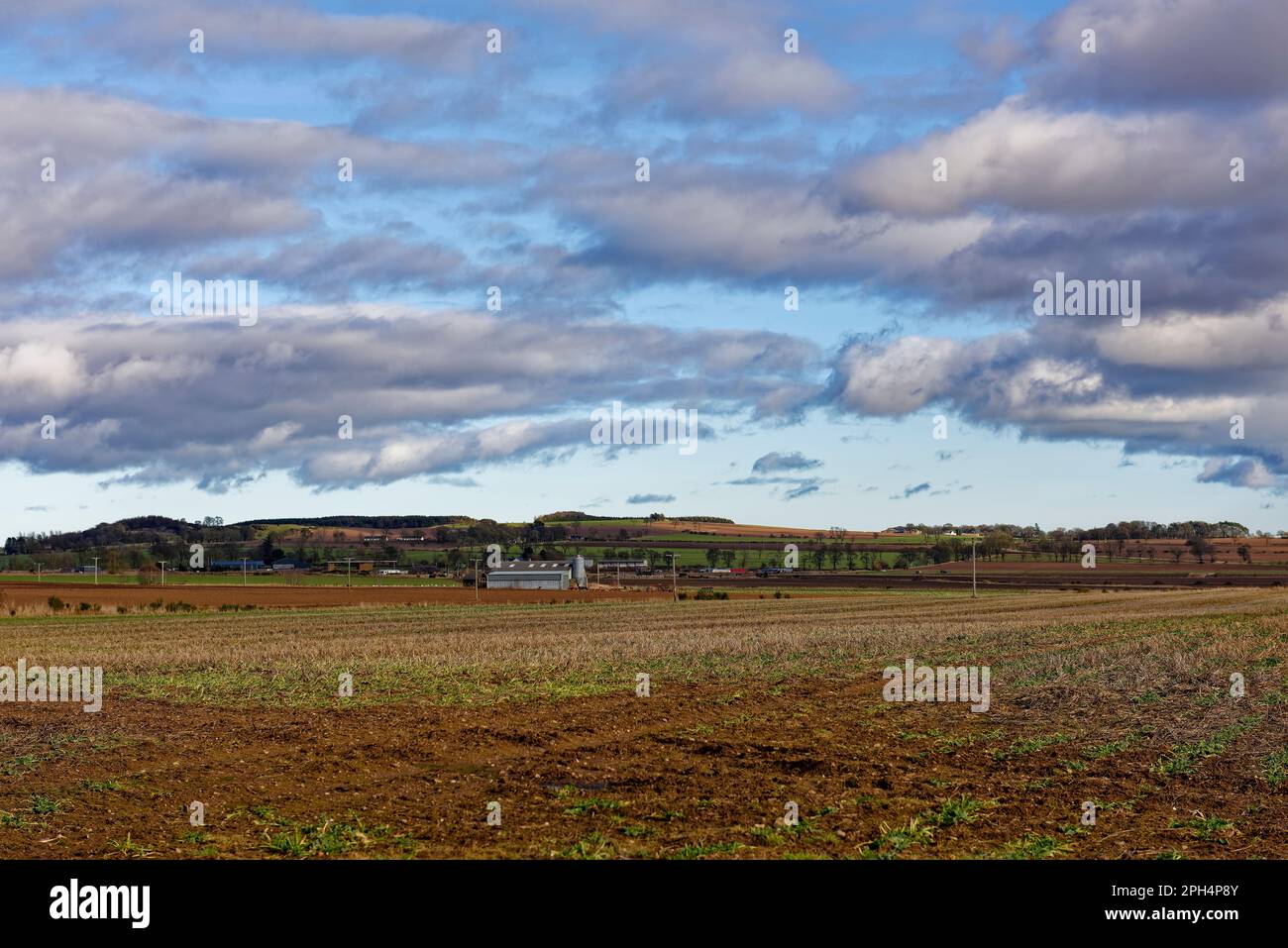 Les terres agricoles plates au nord de Friockheim, en direction de la ...