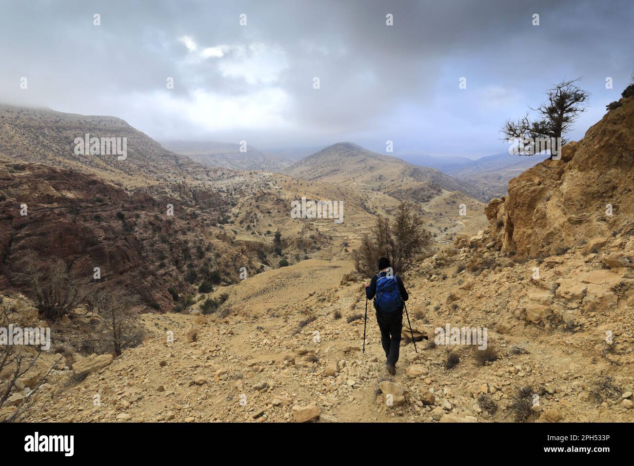 Marcheurs sur le sentier de la jordanie Banque de photographies et d ...