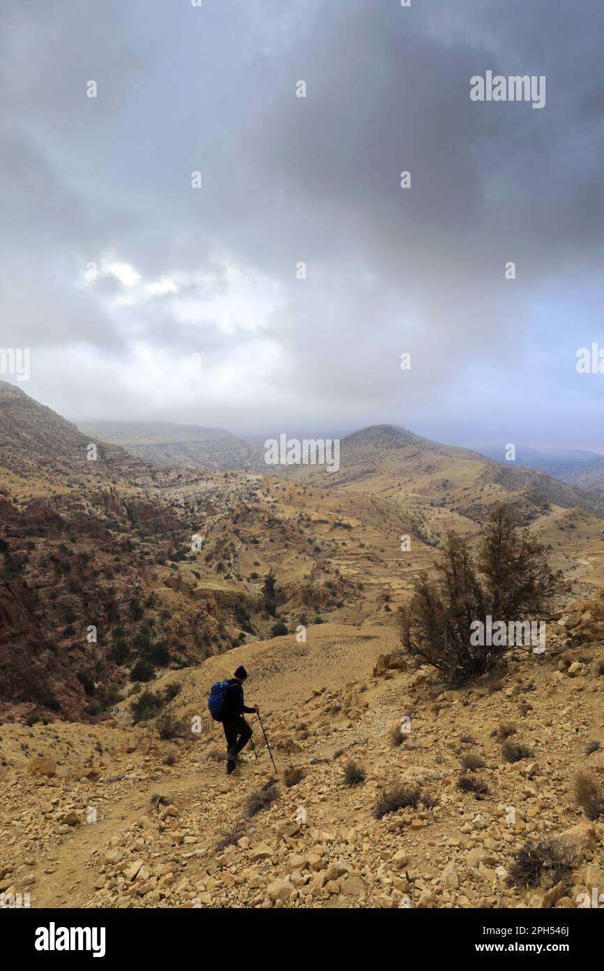 Marcheurs sur le sentier de la jordanie Banque de photographies et d ...