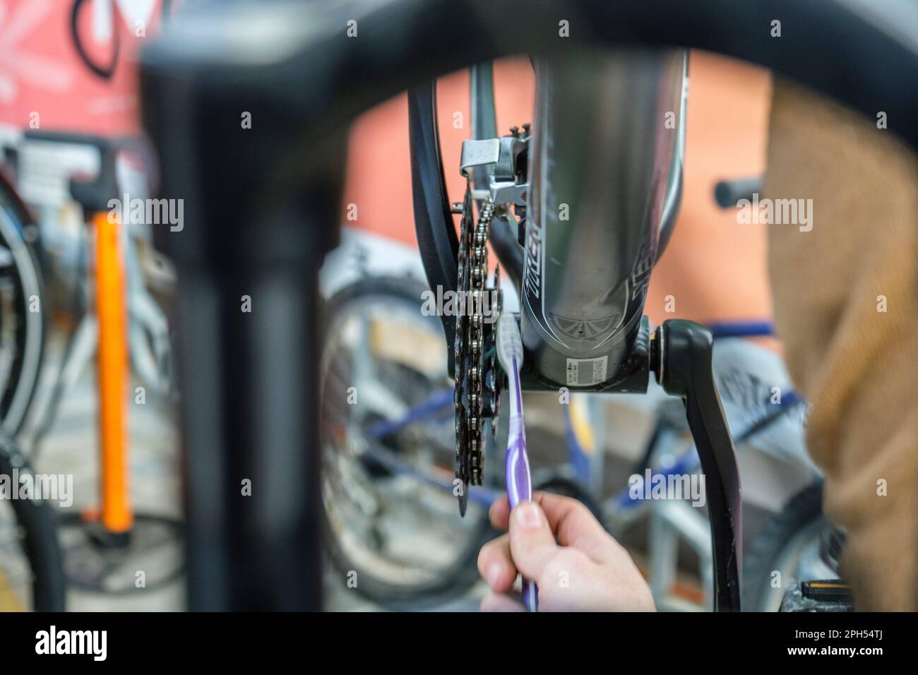 Exposition de différents types de vélos au Bike Brussels - Voir et ...