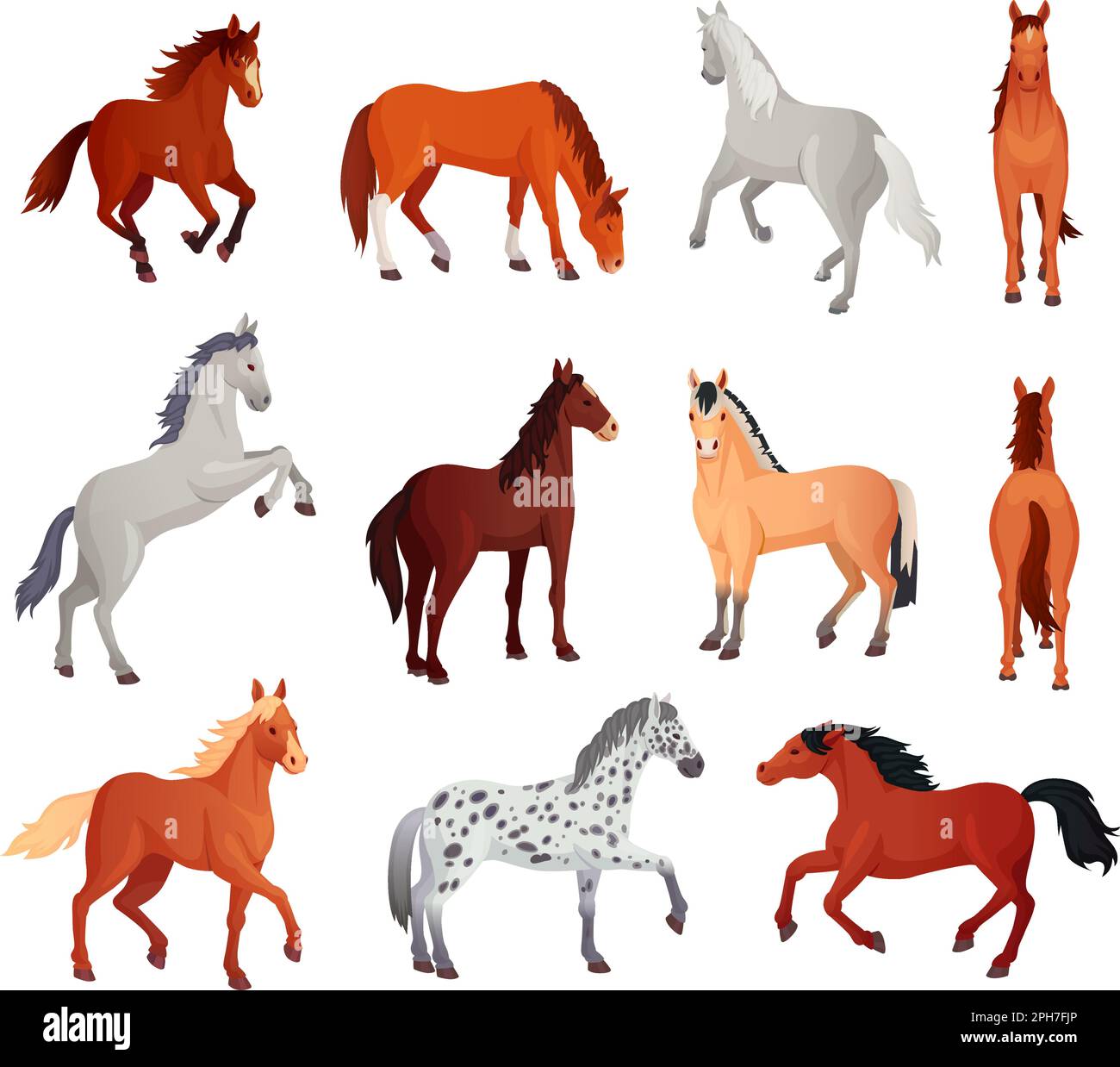 Poses de cheval. Les chevaux sauvages marchant ou gallop courant pose ...
