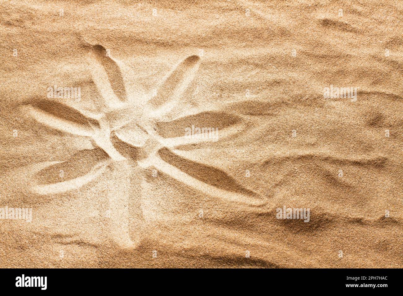 Un doigt qui dessine un soleil sur le sable ensoleillé de l'été ...