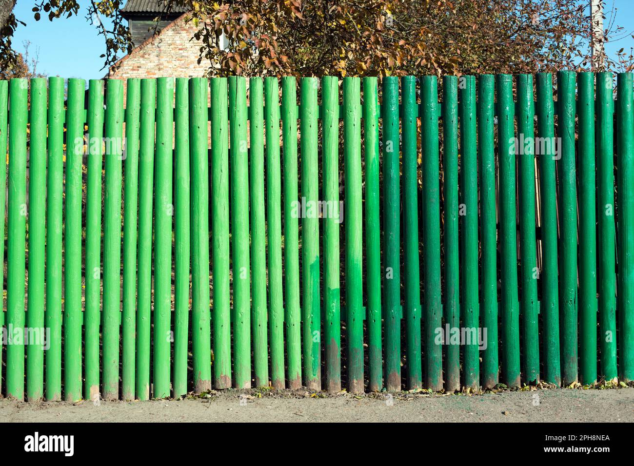 Sorte de vert Banque de photographies et d’images à haute résolution ...