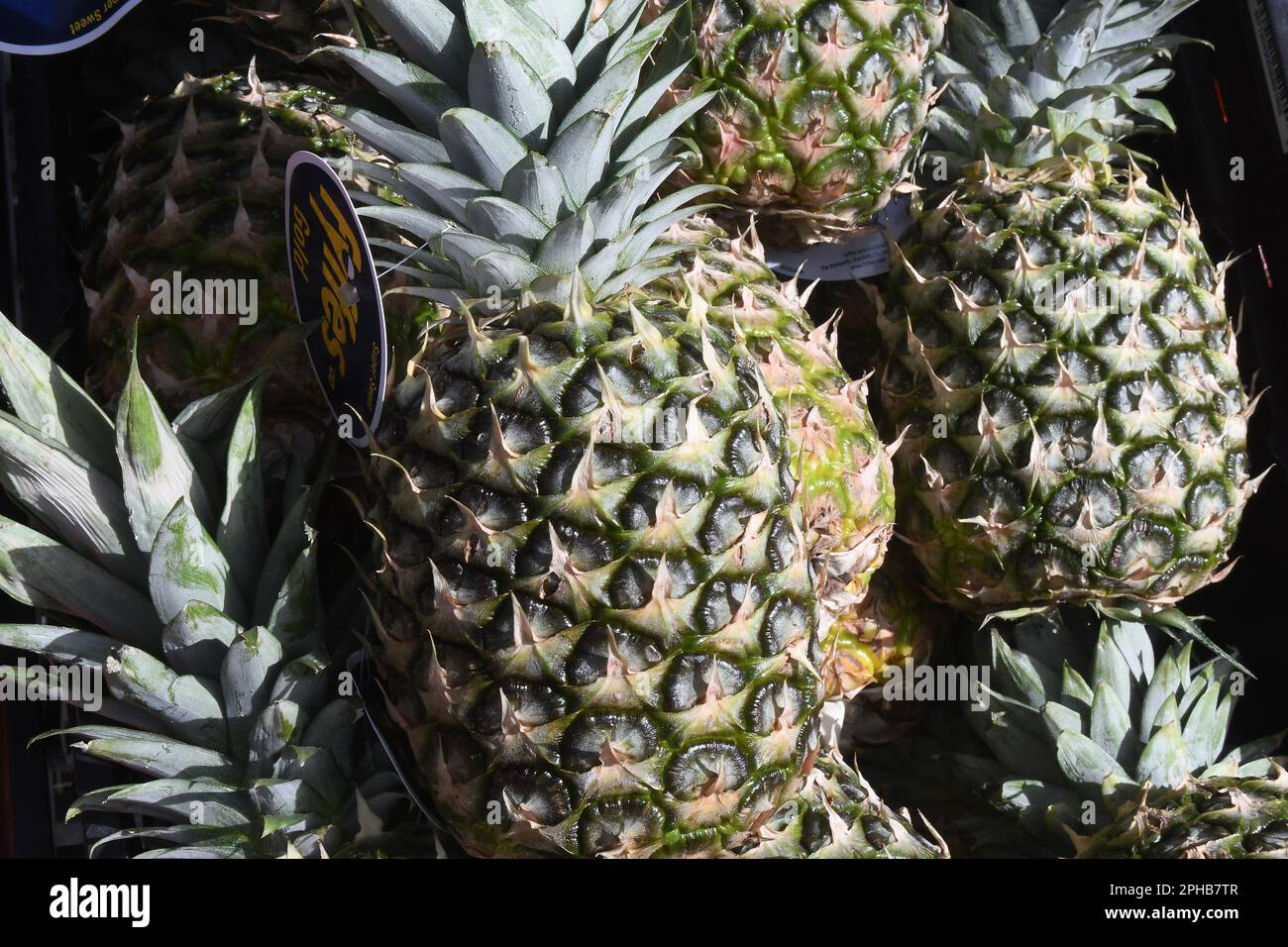 Kastrup/Copenhague /Danemark/27 mars 2023/Fyffes fruit d'ananas doré ...
