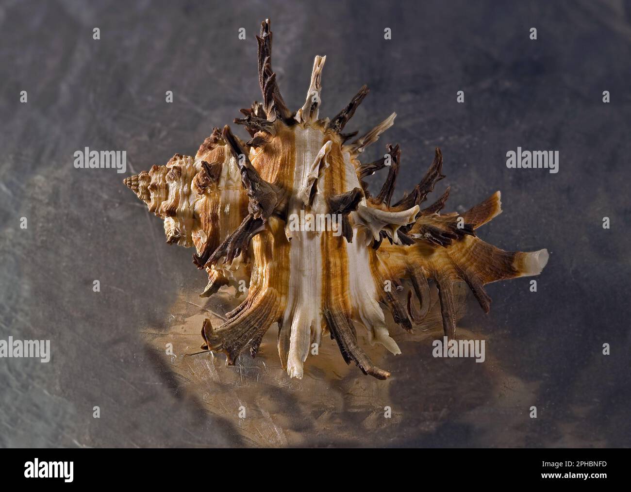 Le filippine Banque de photographies et d’images à haute résolution - Alamy