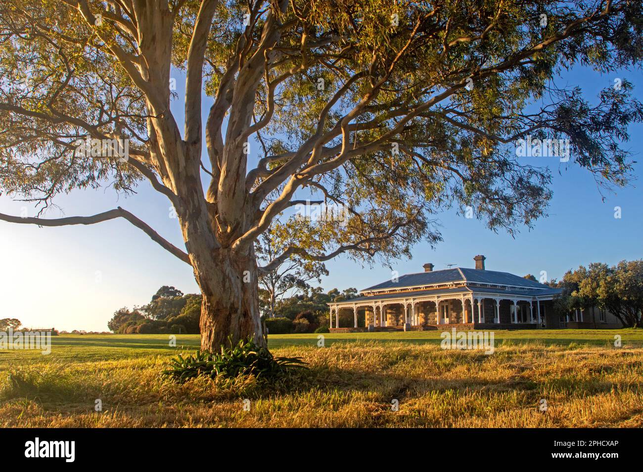 Mount sturgeon Banque de photographies et d’images à haute résolution ...
